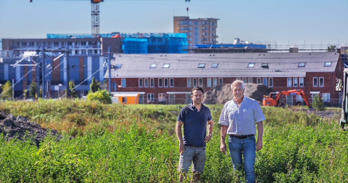 Strijd tegen woningen in ‘laatste stukje groen Rijswijk’: ‘Bouw zal ...