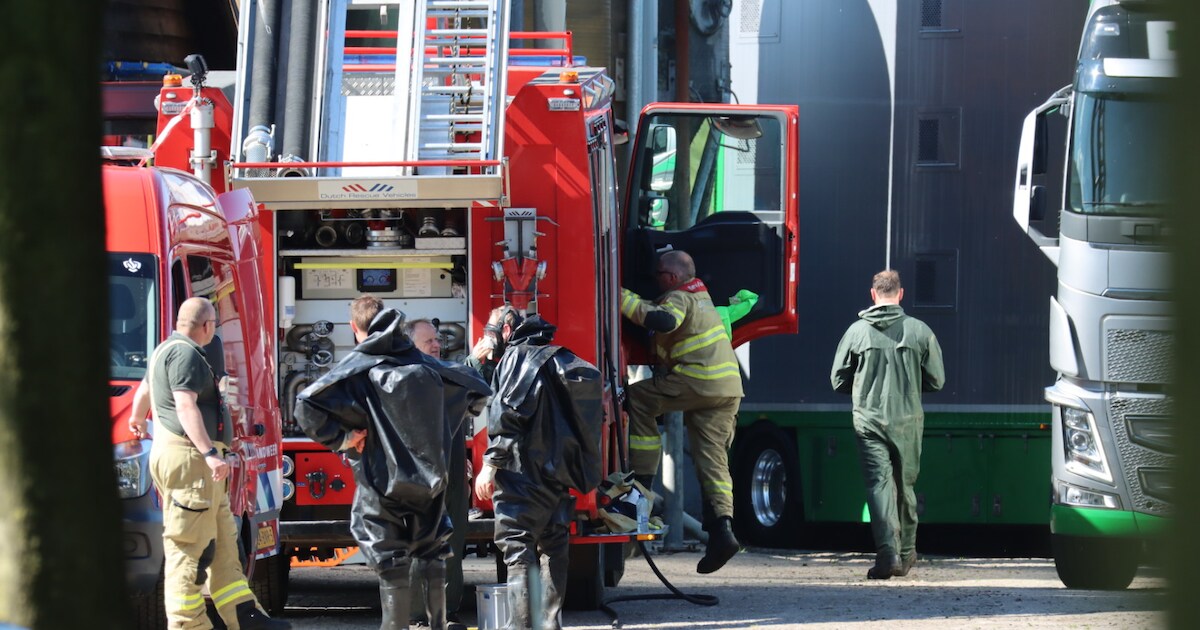 Tientallen varkens vallen in gierput op boerderij in Barneveld, brandweer kan ze niet allemaal ...
