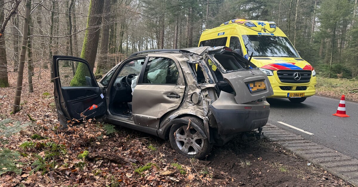 Automobilist botst tegen boom in Ermelo: slachtoffer gewond naar ziekenhuis | Ermelo | AD.nl