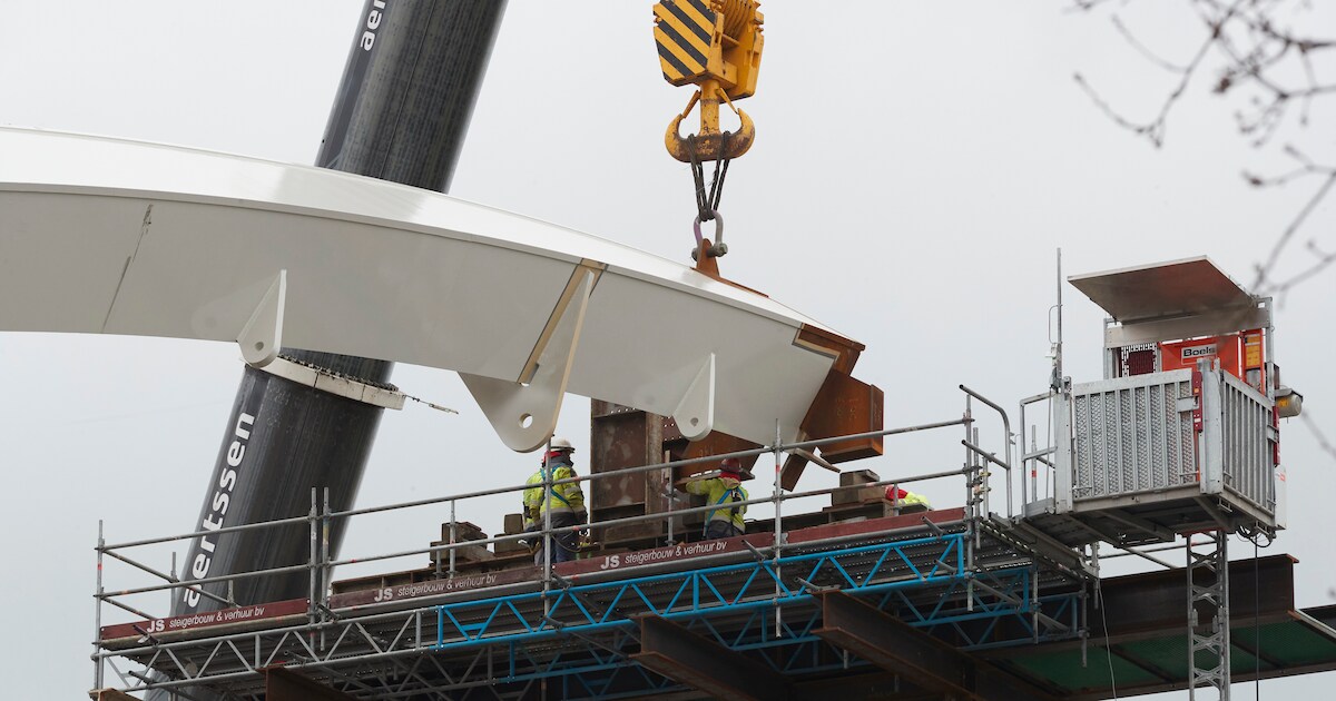 Experts: Niet slechte kranen, maar gebroken hijspunt oorzaak dodelijk ...