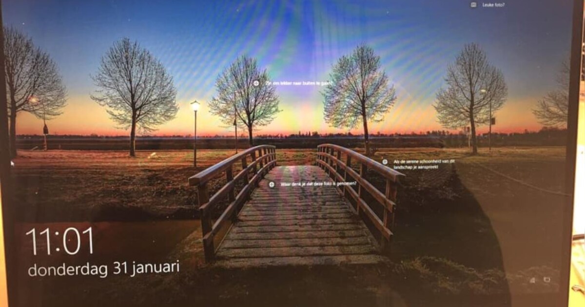 Bruggetje in Mijnsheerenland steelt de show als ‘screensaver’ bij ...