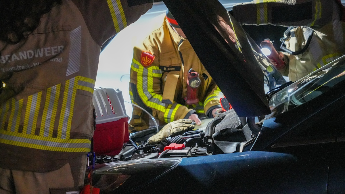Kat rijdt 70 kilometer mee onder motorkap van auto, brandweer bevrijdt ...