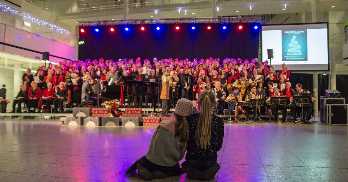 ‘Ik heb al jaren dezelfde neppe boom. Hij kan lekker terug in de doos ...
