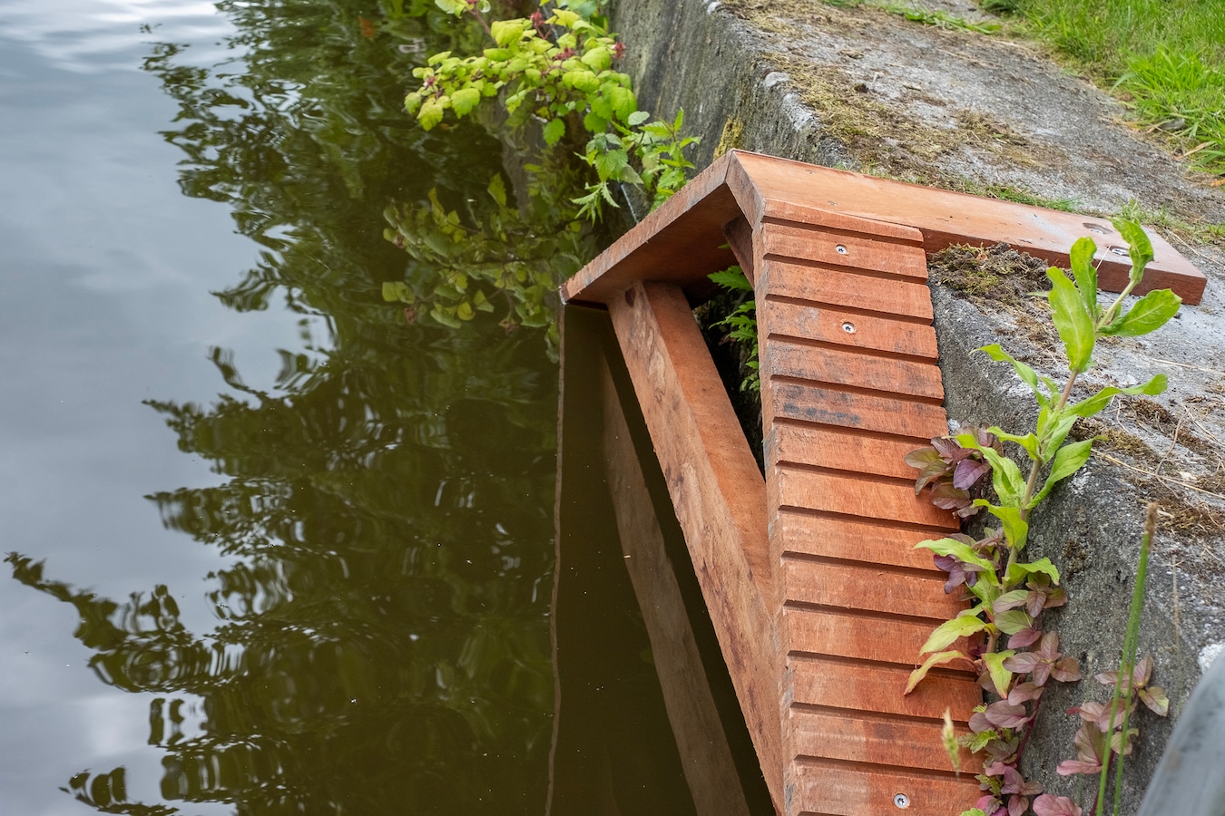 Chantal zoekt dagenlang naar Gijs, dan komt het appje: ‘Ik zie een ...