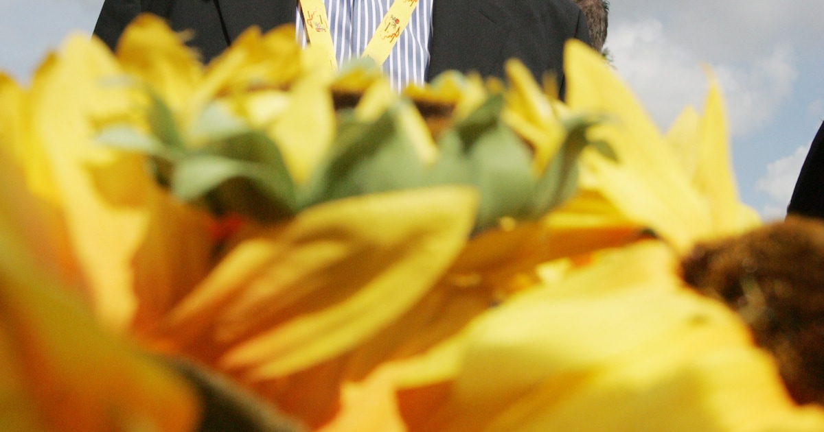 Cees Priem: 'Beter laat dan nooit' | Wielrennen | AD.nl