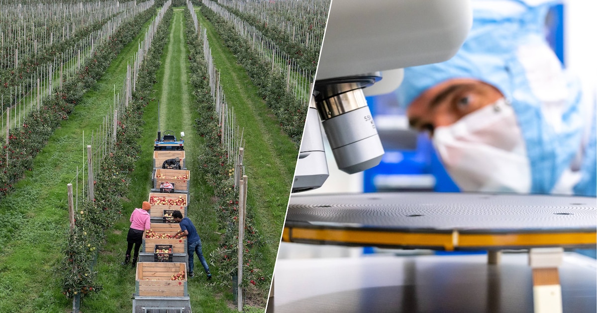 Aantal arbeidsmigranten en meegereisde gezinsleden in Groningen hoogste ...