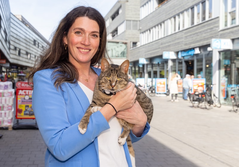 Kat Floki is een bekend gezicht in winkelcentrum Stadshagen: ‘Het is de ...