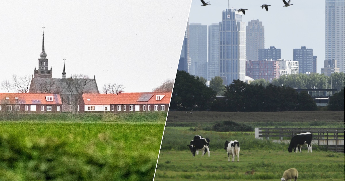 Kwaliteit van leven in Den Haag: op deze vlakken scoort de gemeente ...