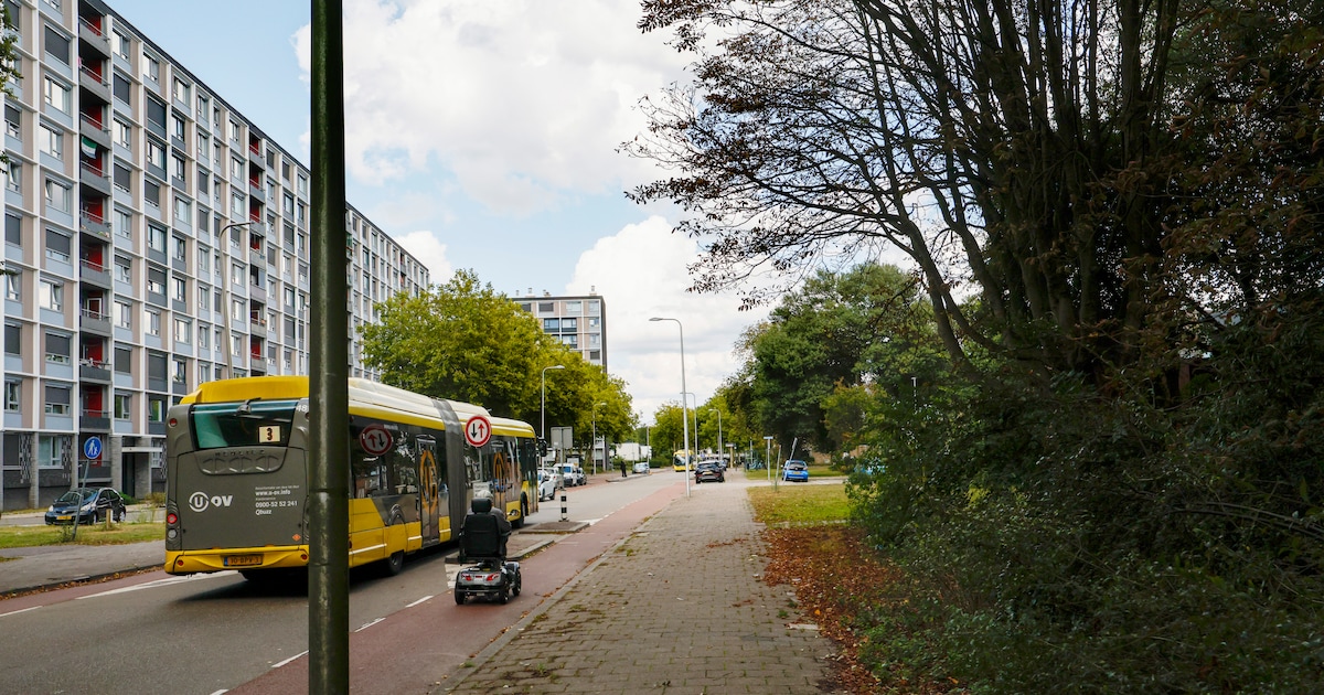 Dit zorgde afgelopen nacht voor een gigantische knal in Utrecht, de ...