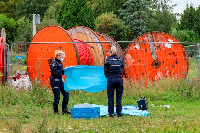 Meisje dat met ‘ernstig geweld’ werd gedood in Amsterdam is 17-jarige Lisa | Gewelddadige dood ...