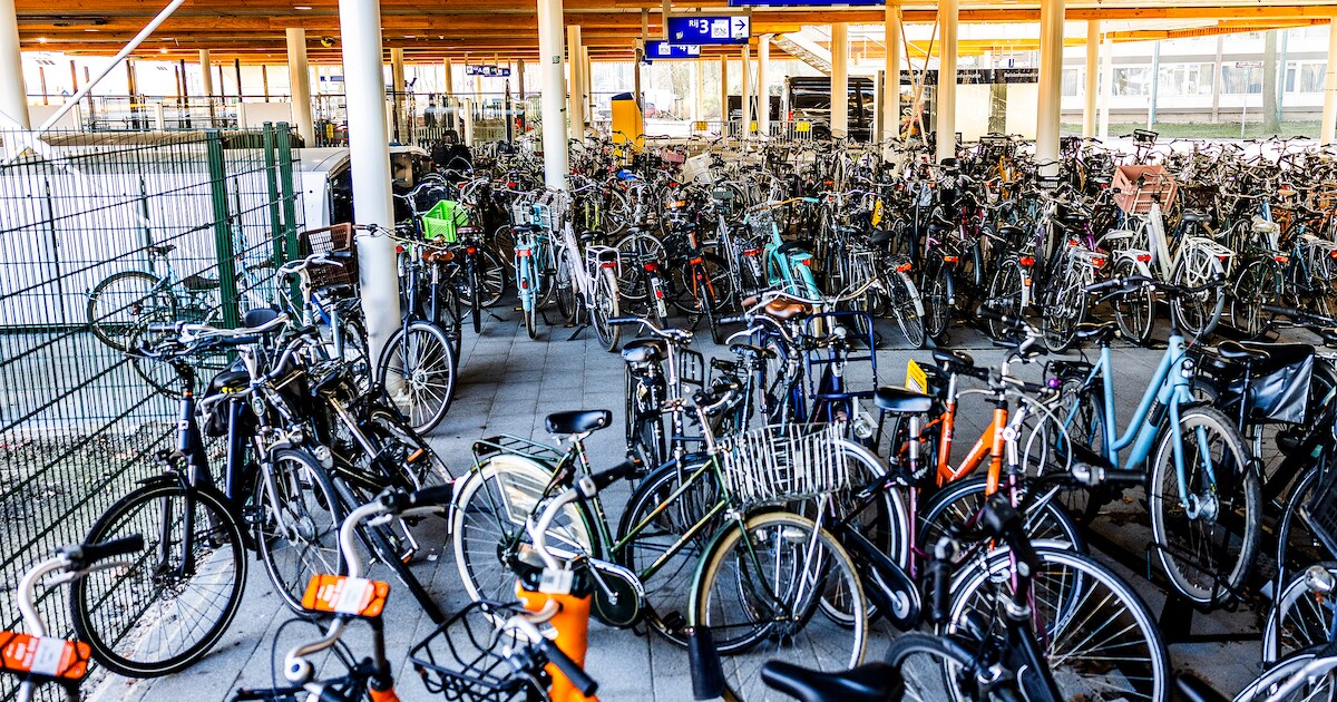 VVD wil dat fout gestalde fietsen worden verwijderd: ‘Het is een ...