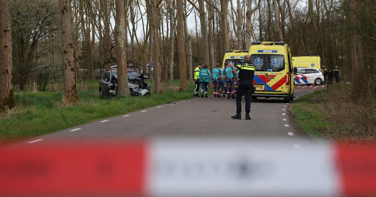 Automobilist omgekomen na botsing met boom op Buitenhuizerweg in Velsen-Zuid | 112 nieuws Velsen ...