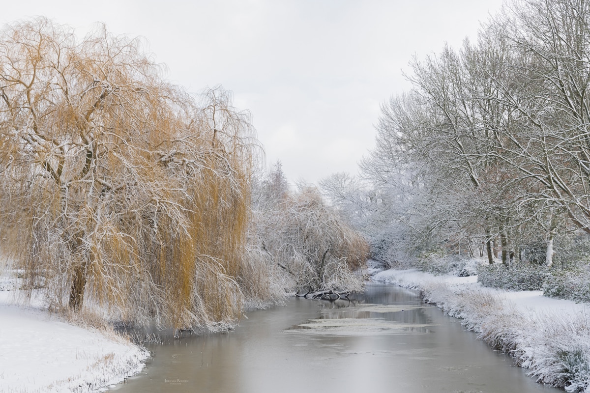 Goed nieuws in beelden gevangen | Van de lezer Breda | AD.nl