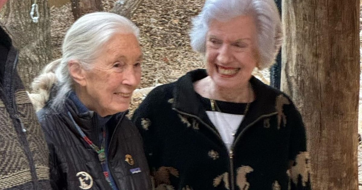Jane Goodall (91) was kind aan huis bij Dierenpark Amersfoort, in maart ...
