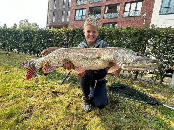 Dani (11) vangt ‘monstervis’ van 114 centimeter (en vecht tien minuten ...
