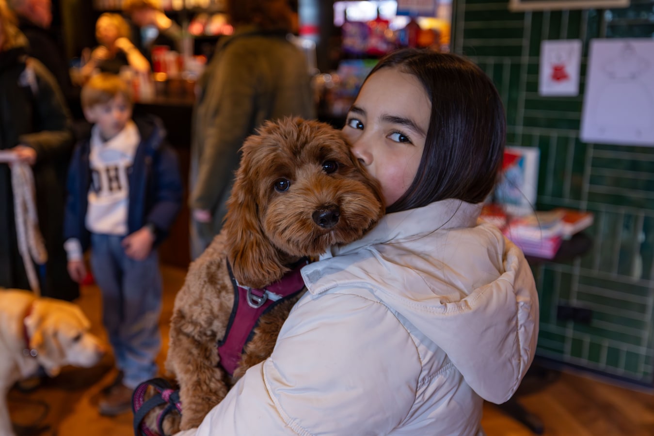 Husky’s Dex en Naira mogen met hun baasjes mee naar de bios: ‘Ik denk ...