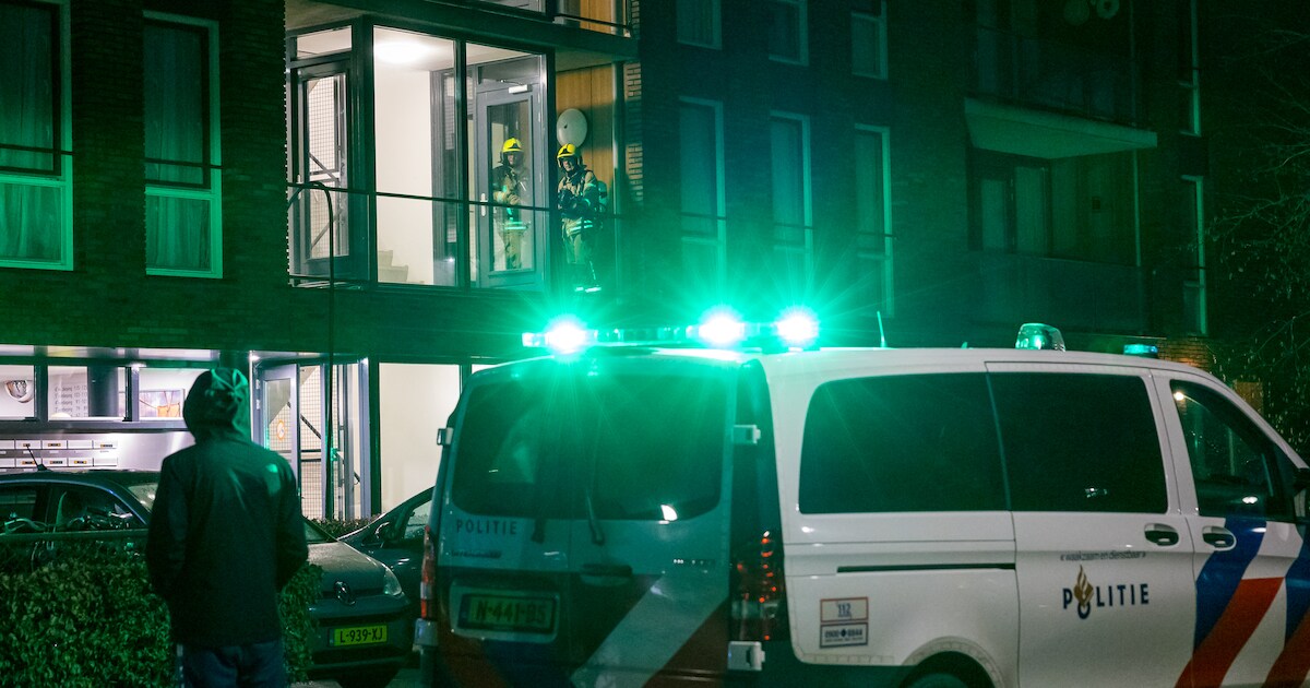 Remi en Rita hadden schulden, en dus bedachten ze een web van leugens ...