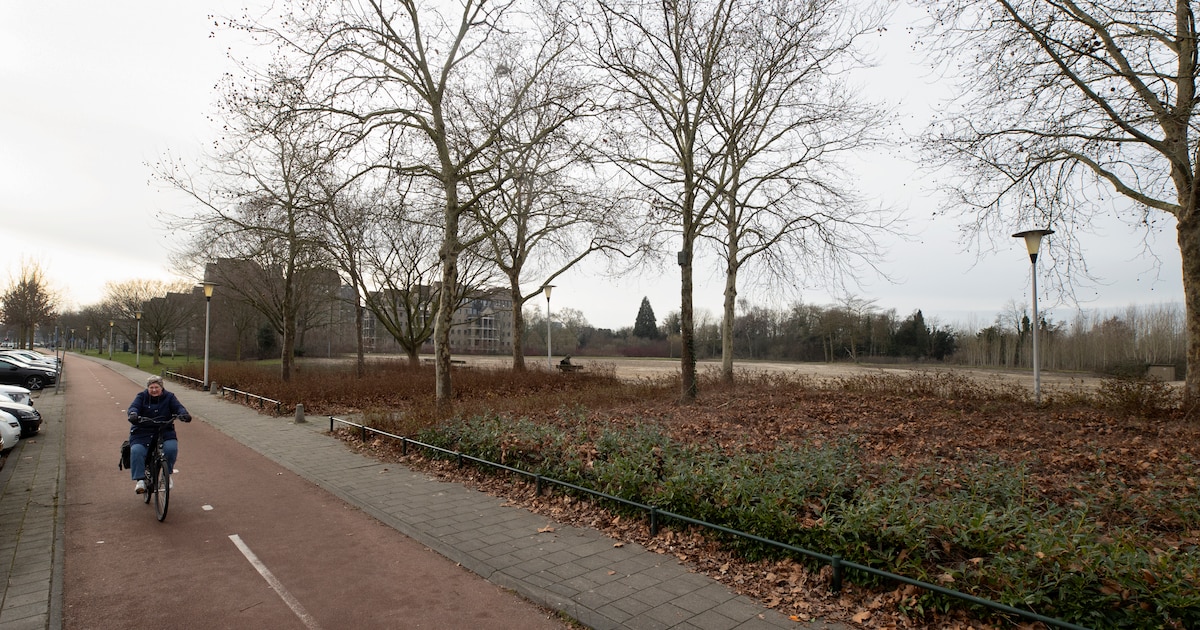 Helmond rekent nu met vier miljoen euro meer voor nieuwbouw Jan van ...