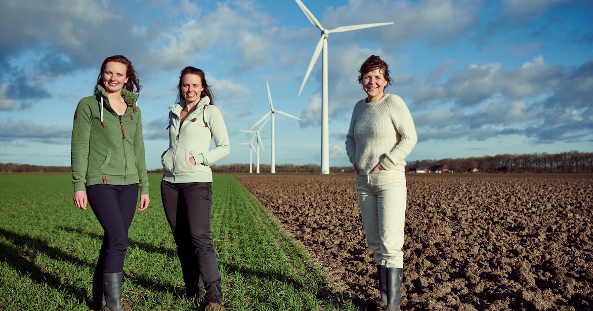 Lokale, groene energie met elkaar delen. Ken jij deze trend al ...