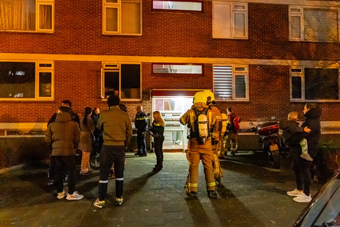 Doos met kerstboom zorgt voor brand in berging op Ruigoord in Rotterdam ...