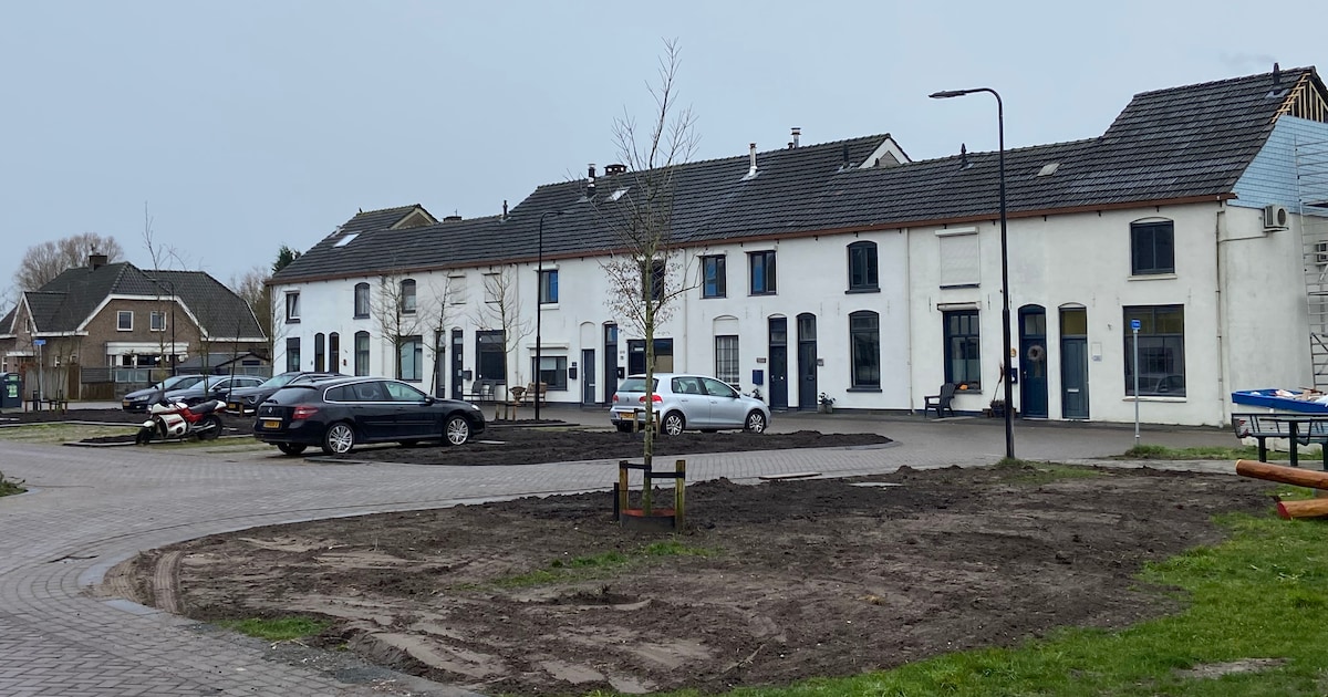 Peengras en steentjes dwingen gemeente Vijfheerenlanden perkjes op de ...