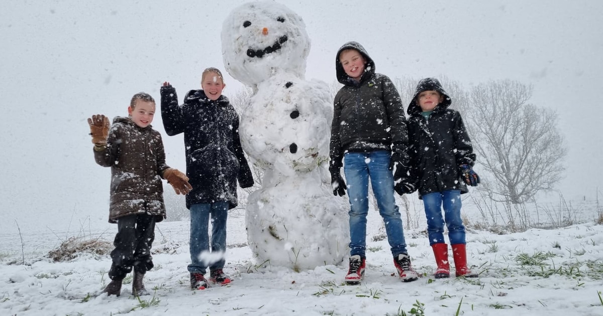 Winter in Brabant: de mooiste foto’s van lezers | Tilburg | AD.nl