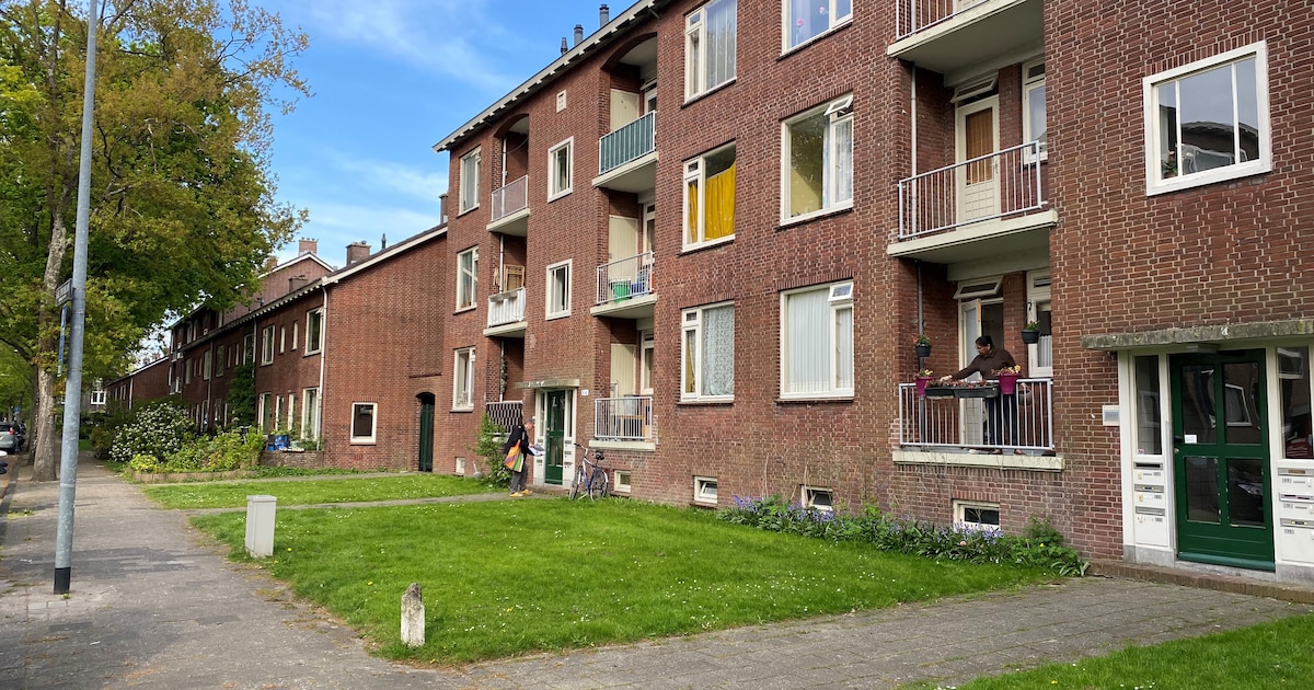 Gescheiden en met spoed op zoek naar een huis, in Rijswijk zijn daar nu ...