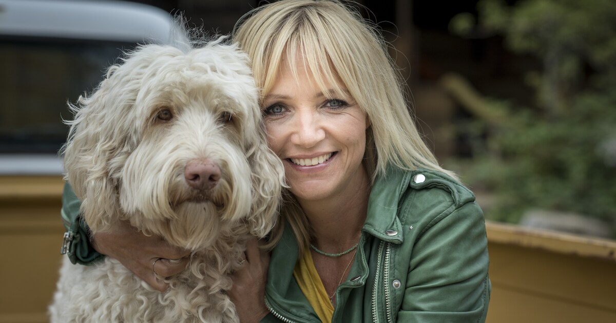 Yvon Jaspers heeft goed nieuws over hond Tommy: ‘Hij loopt, snuffelt en eet weer’ | Show | AD.nl