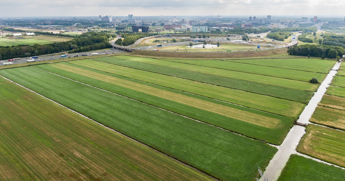 Duizenden woningen, park en recreatieplan: ambitieus plan voor polder ...