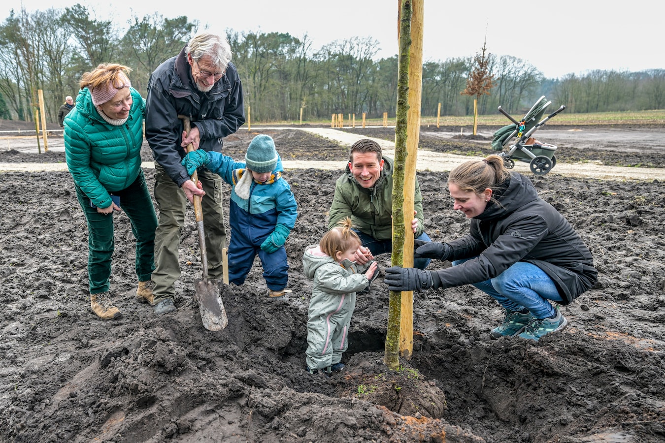 Herinneringen komen tot leven in Levensbomenbos in Zeeland: ‘Die bomen ...