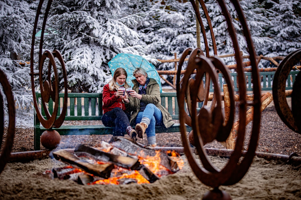 Uitje naar Winter Efteling voor mantelzorgers uit de Hoeksche Waard ...