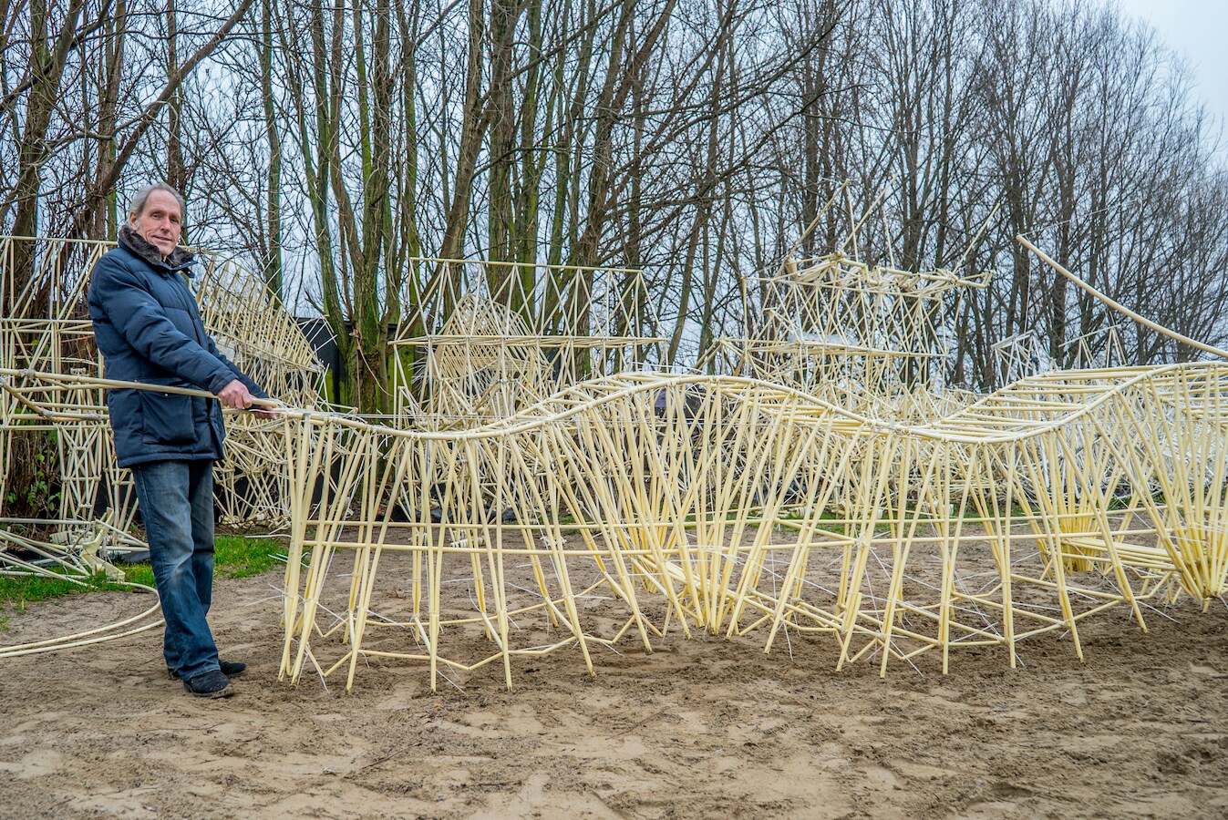 Kinetisch kunstenaar krijgt Haagse Cultuurprijs 2018 | Foto | AD.nl