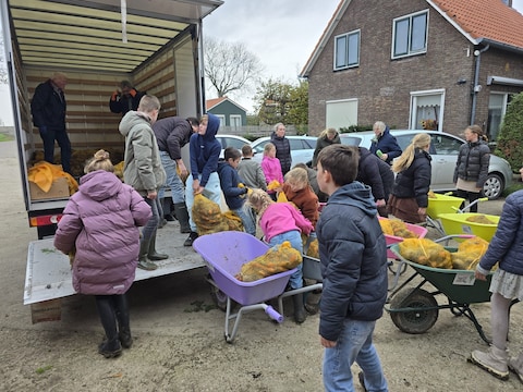 Bureaucratie dreigt populair oogstfeest in Strijen nek om te draaien ...