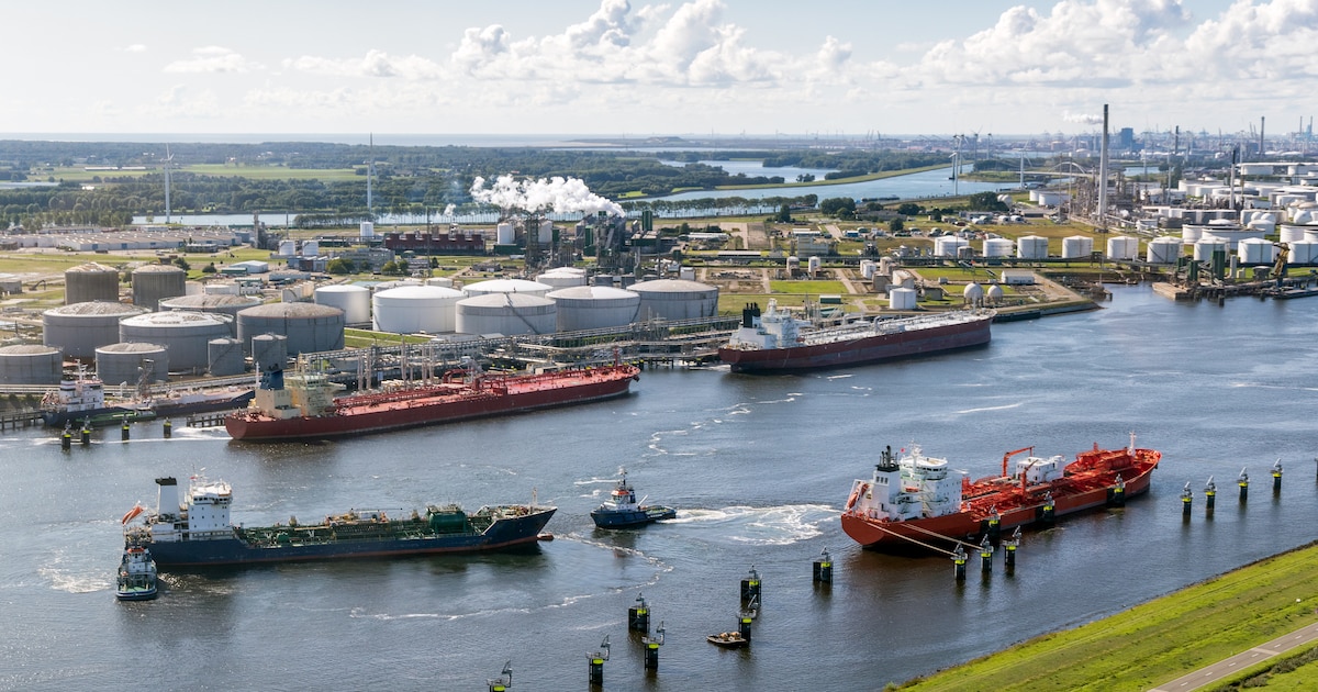 Rotterdamse haven staat voor ‘monsteropdracht’ met duizenden vacatures ...