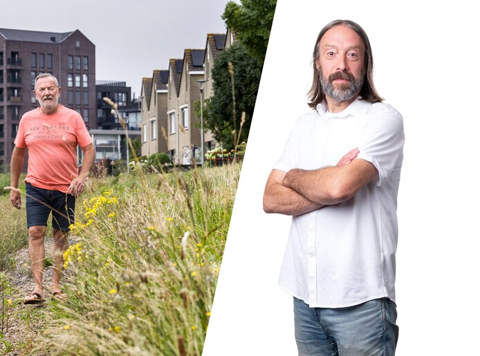 Wat vind jij van het ecologisch groenbeheer in de Hoeksche Waard? Is ...