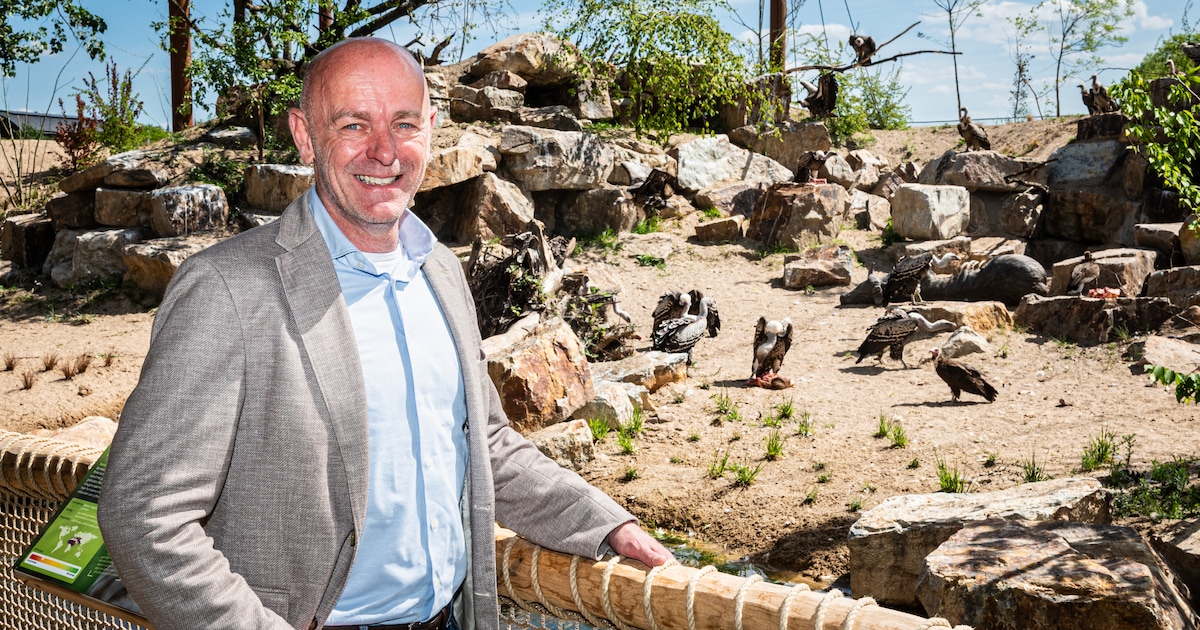In jarig vogelpark heeft directeur John (58) al 26 jaar zijn droombaan ...
