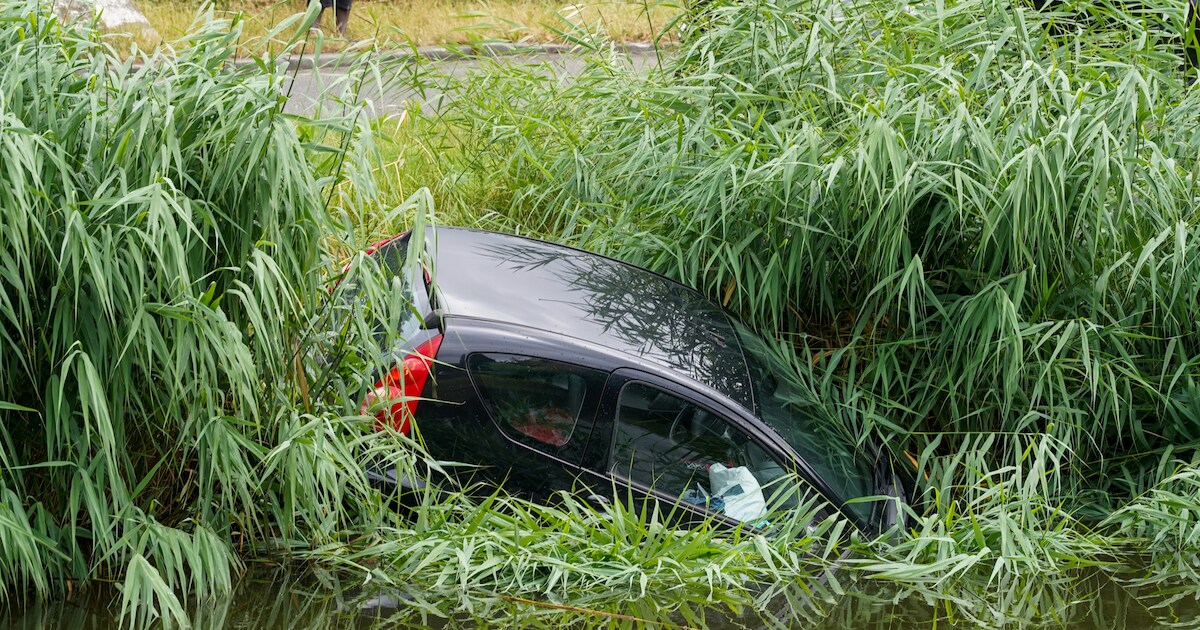 Auto in de sloot langs Groenezoom in Dordrecht | Regio | AD.nl