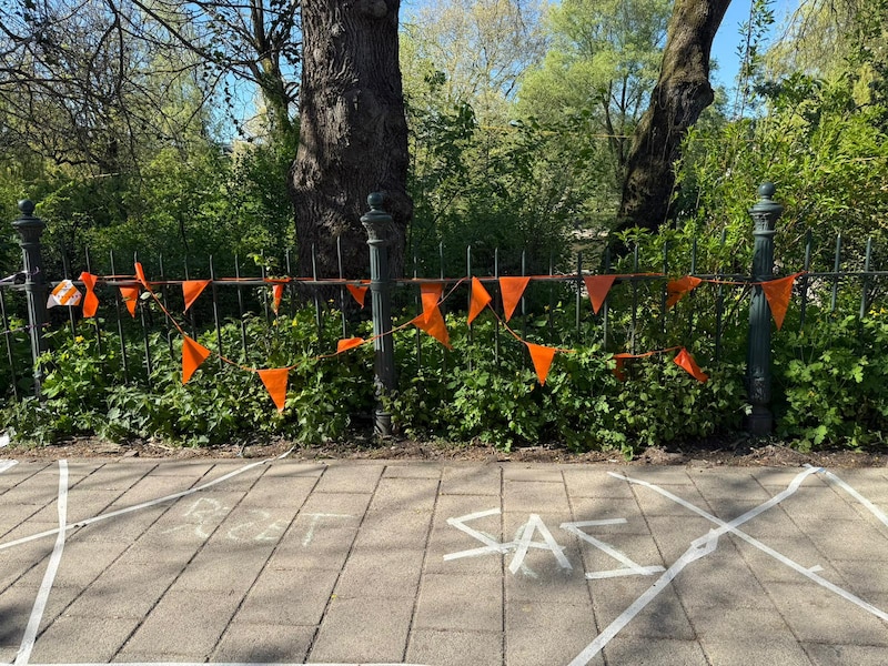 Mysterie: wat betekenen deze afzettingen bij het Sarphatipark vlak voor ...