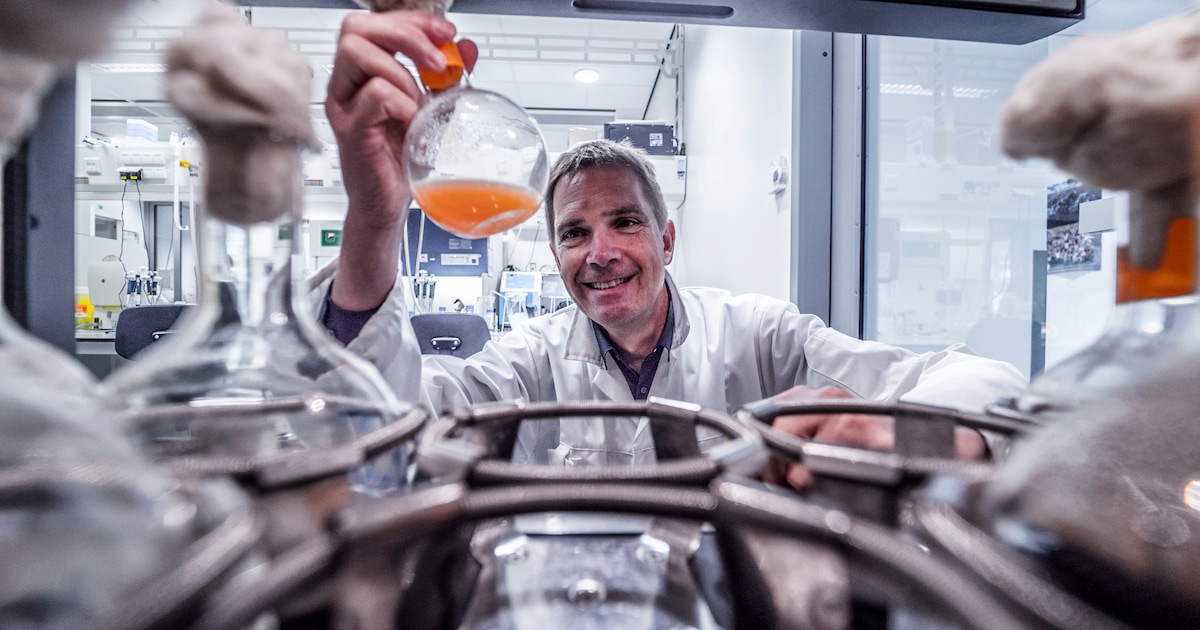 Delftse microbioloog die alcohol kan maken uit niet-eetbare ...