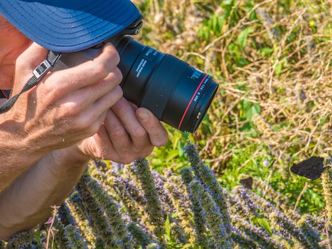 Bioblitz op Marktplein in Papendrecht tijdens Weekend van de Natuur ...