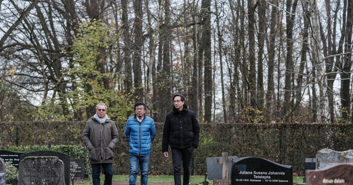Onthulling Moluks monument in Winterswijk gaat niet door | Regio | AD.nl