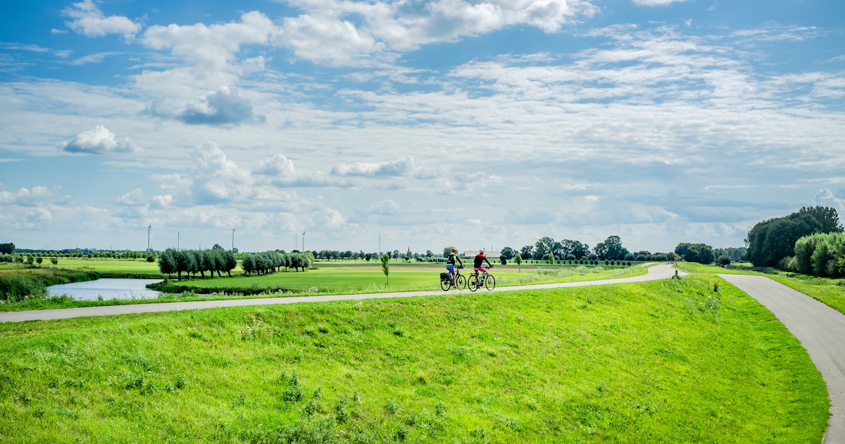 Wonen in de stad is niet alleen duurder, het platteland is ook op andere vlakken aantrekkelijker ...