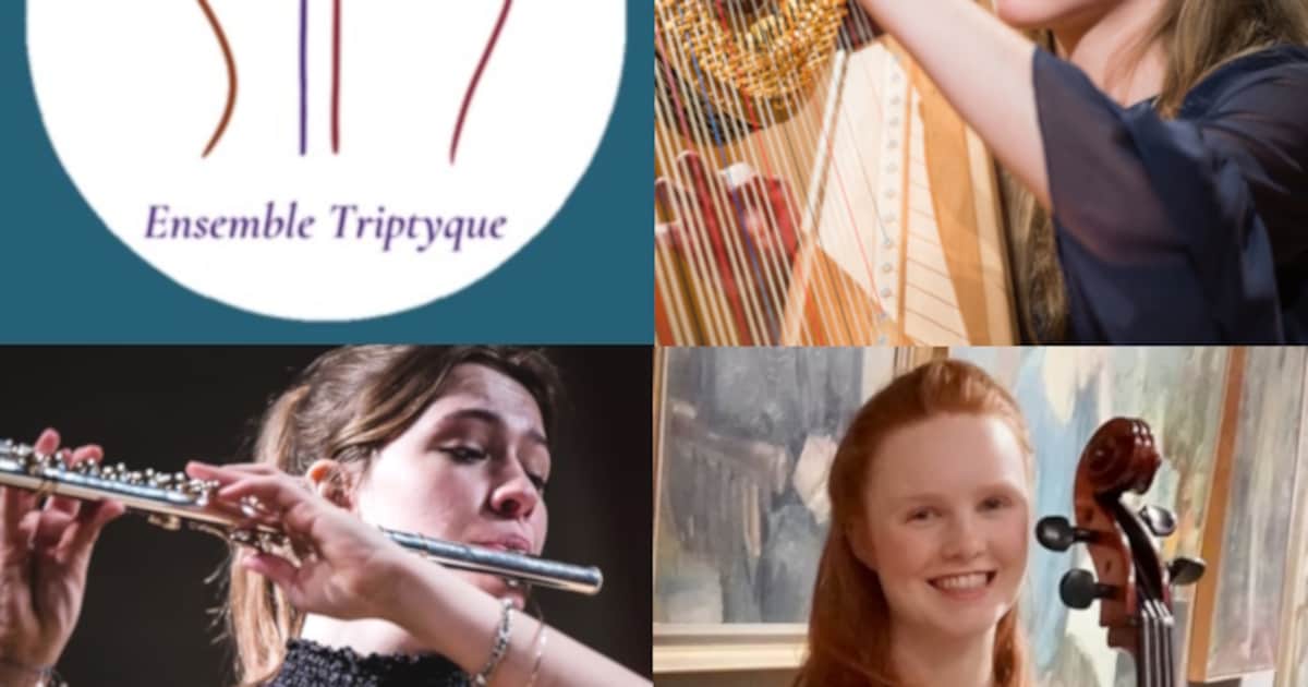 Concert met fluit, harp en cello in Veenendaal | Regio | AD.nl