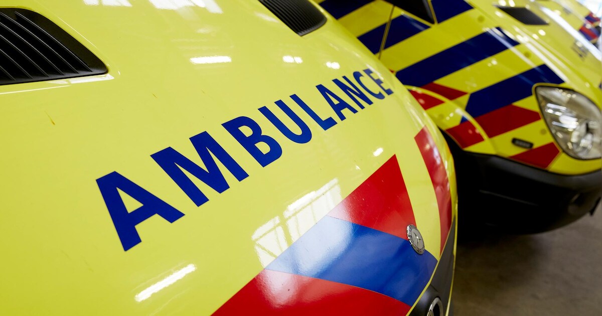 Aangereden vrouw is stagiair bij Albeda College | Rotterdam | AD.nl