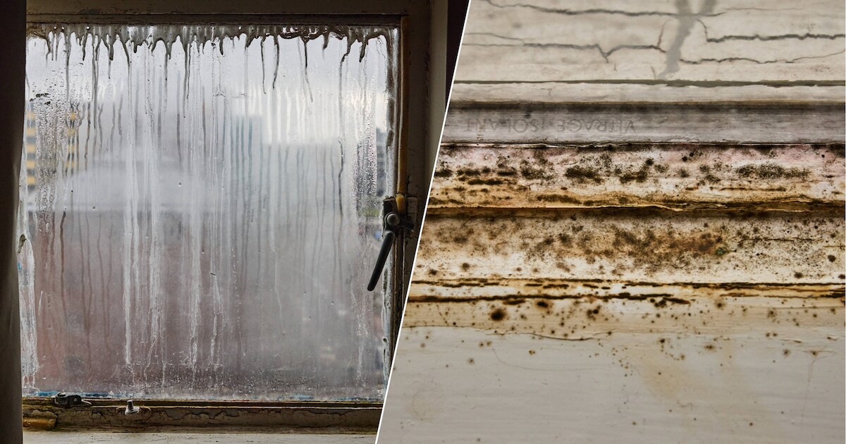 Raadslid in tranen wanneer bewoner vertelt over schimmelproblemen: ‘De ...