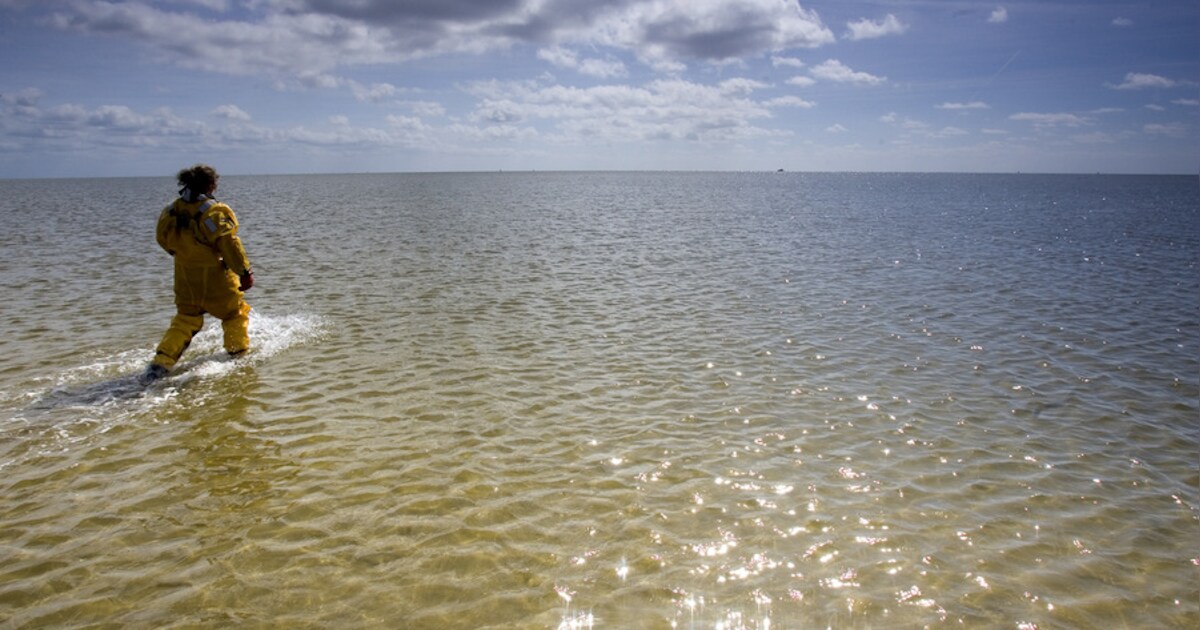 Ook Denemarken wil Waddenzee op erfgoedlijst | Nieuws | AD.nl