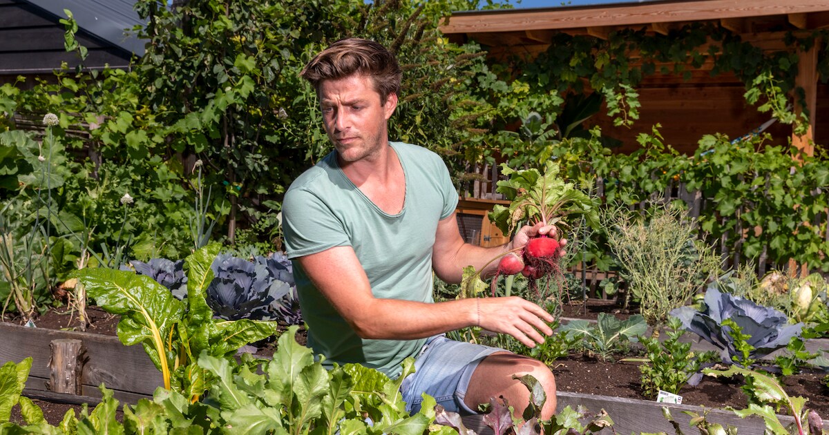 Tv-kok Hugo Kennis duikt ’s nachts de moestuin in: ‘Ik slaap vier uur ...