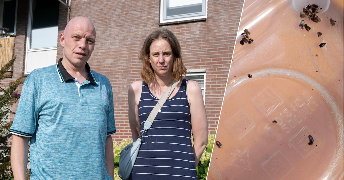 Waarom niemand Ron en Karin eerst geloofde, en hoe één keukenmerk alles ...