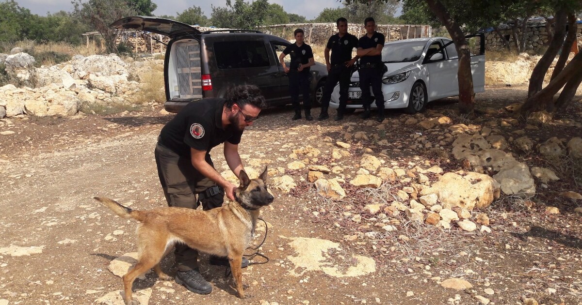 Graafactie in Turkse bergen waar Joey Hoffmann (21) verdween levert ...