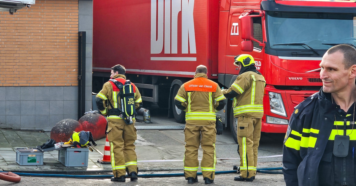 Giftig accuzuur lekt uit kapotte elektrische pomp: Dirk van den Broek ...